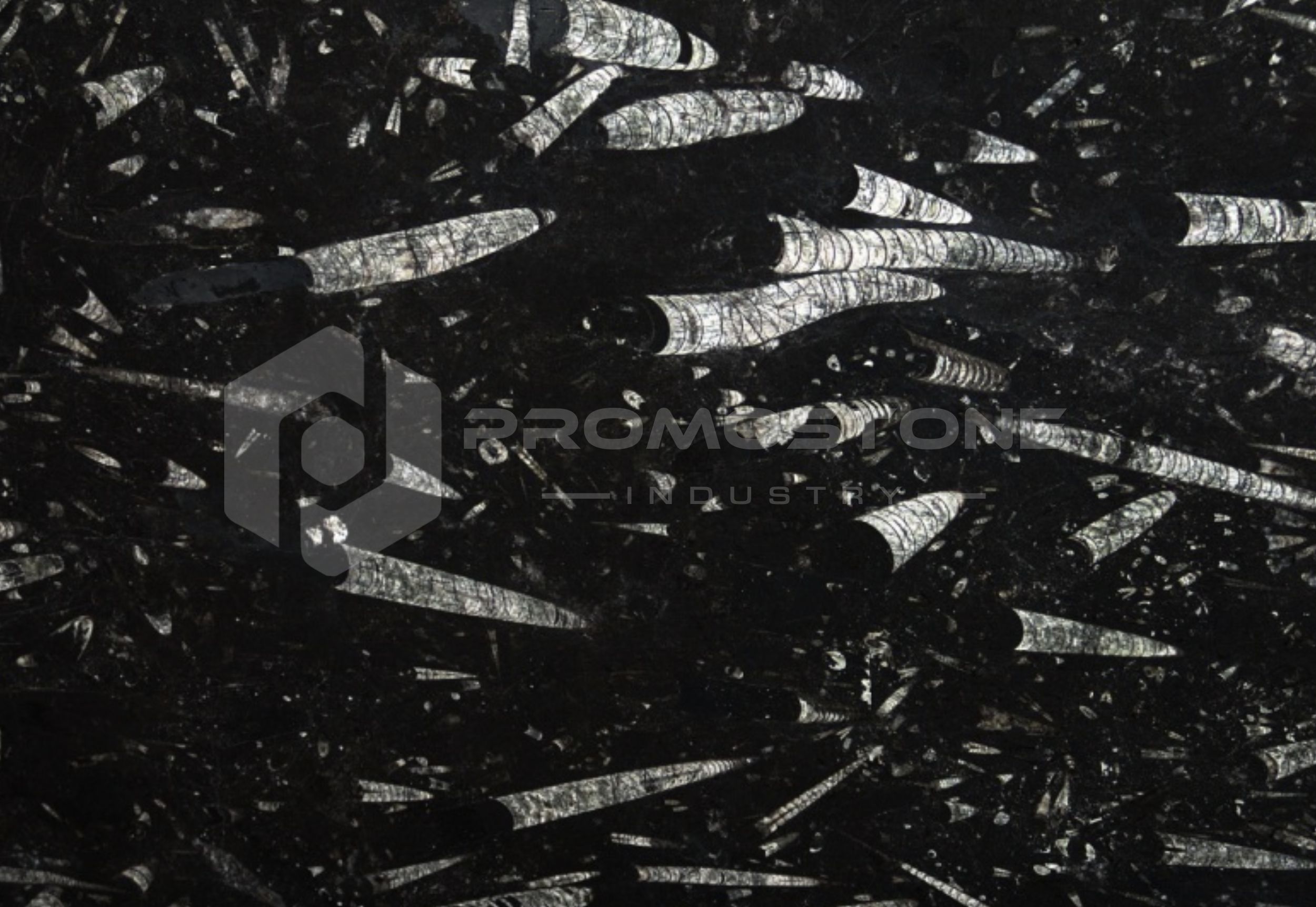 Marbre Maroc | pierre naturelle - Promostone Industry